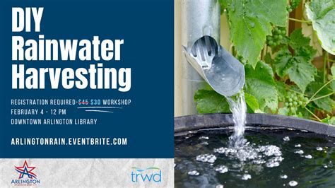 Diy Rainwater Harvesting And Barrel Building Workshop Arlington