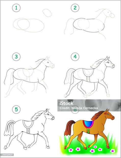 페이지는 말을 그리는 방법을 단계별로 배우는 방법을 보여줍니다 벡터 이미지입니다 아이들의 그림 그리기와 색칠 기술 개발 0명에