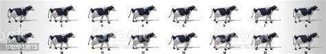 cow walk cycle animation frames loop animation sequence sprite sheet