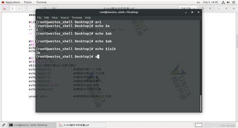 linuxshell脚本中的变量与命令别名设定指南 csdn博客