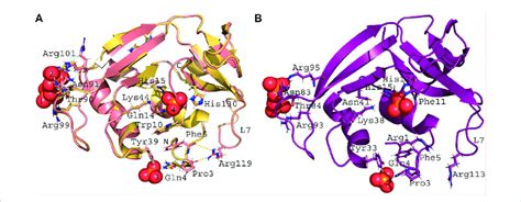 Crystal Structures In Complex With Phosphate Anions A Crystal Download Scientific Diagram