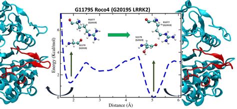 Role Of The Residue Q In Increasing Kinase Activity Of G S LRRK Kinase A Computational