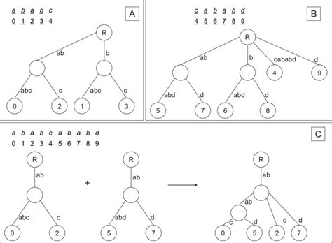 13 The Steps Of The Trellis Algorithm Applied To Input String X
