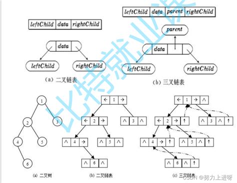 二叉树一 阿里云开发者社区