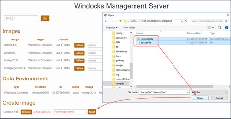 Cloning Sql Server Instances With Containers Sqlservercentral