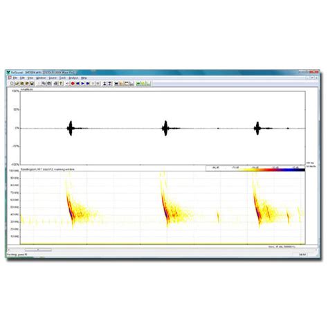 Batsound Real Time Spectrogram Analysis Software Bioweb Usa