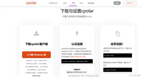cpolar比较简单的实现内网穿透 cpolar use of closed network connection csdn博客