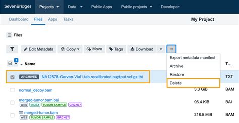 Delete An Archived File