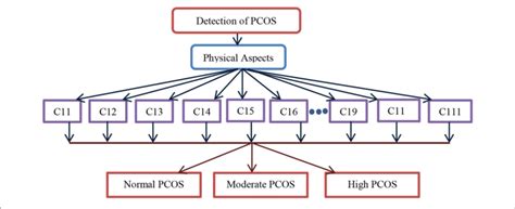 The Computational Model For The Detection Of PCOS Download Scientific Diagram