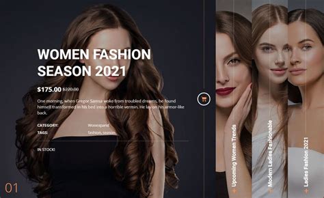Prime Slider Based On Elementor Page Builder