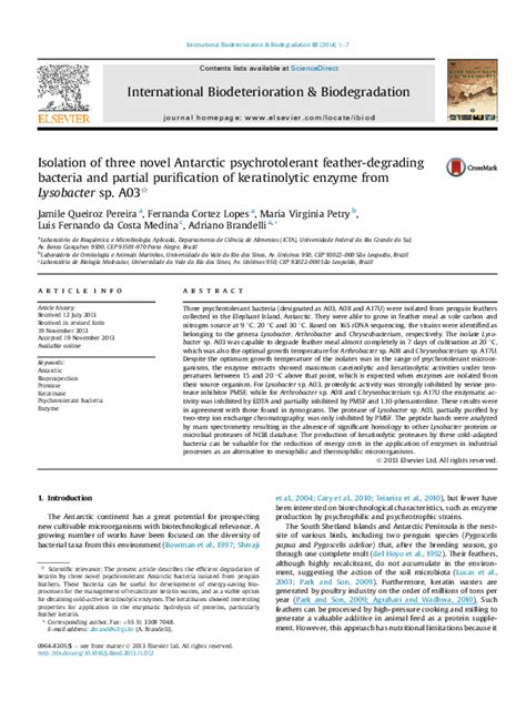 Pdf Isolation Of Three Novel Antarctic Psychrotolerant Feather