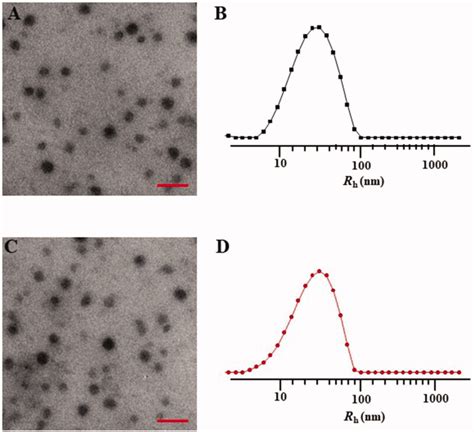 Application Of Tumor Targeting Peptide Decorated Polypeptide