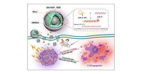Theranostic Nanoplatform Based On Polydopamine Coated Magnetic
