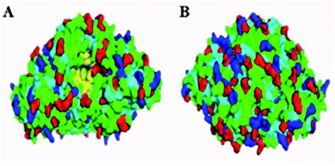 Novel β Galactosidase Nanobiocatalyst Systems For Application In The