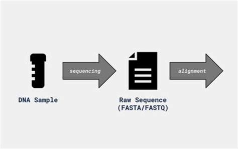 What Is A Variant Call Format VCF File Precision Oncology Solutions GenomOncology
