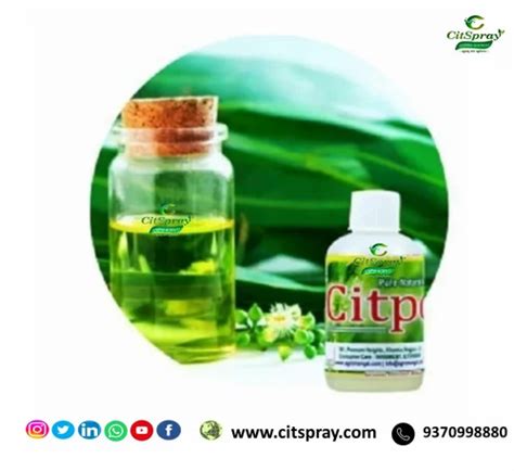 Citronellol Leaves Citronella Diffuser Fragrance For Humidifier At Rs 1000 Litre In Nagpur