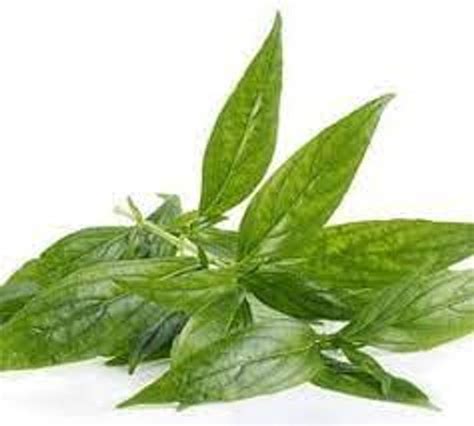 Benefits And Effects Of Fulvic Acids For Agriculture Artofit