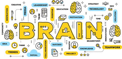 창조적인 그림 뇌 노란색 단어 문자 라인 아이콘 및 태그 클라우드 흰색 배경에 인쇄 술의 벡터 교육 및 지식 개념입니다 개념에 대한 스톡 벡터 아트 및 기타 이미지 Istock