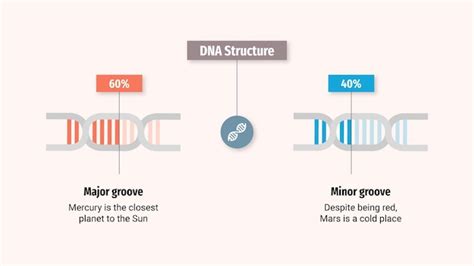 Premium Vector A Diagram Of The Microscope S Structure Is Shown In A Diagram