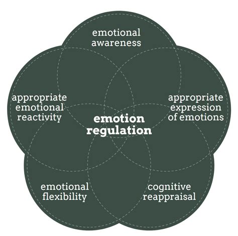 Emotion Dysregulation 5 Components Personal Psychology