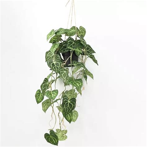 105 Cm Natural Touch Pothos Hanging Faux Plant Manufacturer Sharetrade
