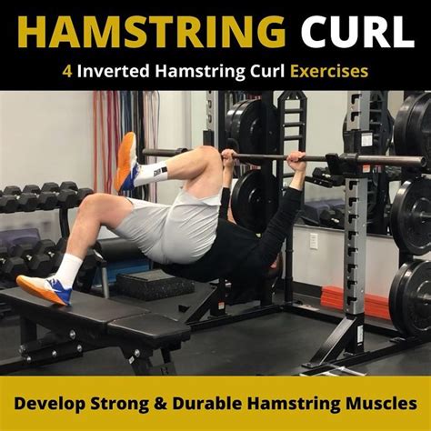 Matthew S Ibrahim On Instagram “💥inverted Hamstring Curl ⤵️ ⠀ 💪🏼training The Hamstrings Never