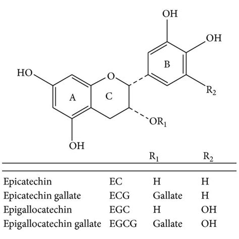Classification Of Flavonoids A Flavonoid Diphenylpropane Skeleton Download Scientific