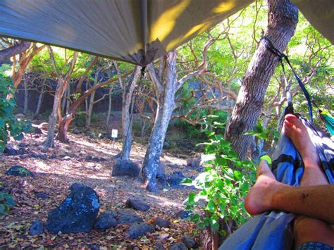 Premium Photo Man Holding Tree Trunk In Forest