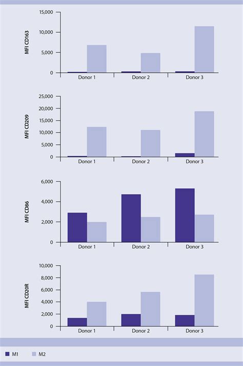 Lead Optimization Cell Activation Expansion And Polarization Miltenyi Miltenyi Biotec 대한민국