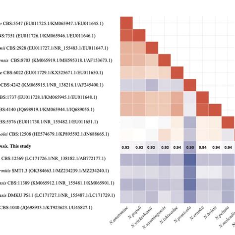 phylogenetic tree and pairwise identity matrix analyses phylogeny was