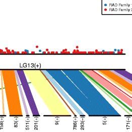 Summary Of DdRADseq Mapping Families Download Table