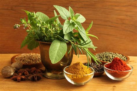 Herbal Wallpapers Top Free Herbal Backgrounds Wallpaperaccess