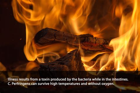 Clostridium Perfringens Or C Perfringens Food Poisoning Lawyers