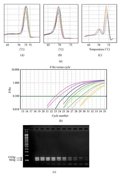 A Melting Curve Graph Obtained Through The Sybr Green Real Time Pcr