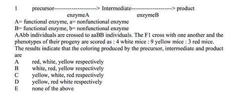 Solved A Functional Enzyme A Nonfunctional Enzyme B
