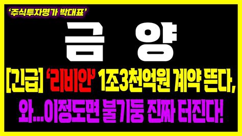 금양 초거대세력 12월 추가 매집 진행중 충격적 매수 이유 공개 금양금양 주가전망lg에너지솔루션 에스엠랩 몽골