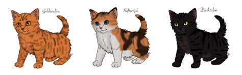 Lionblaze And Cinderheart Kits