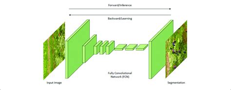 Fully Convolutional Network Fcn Download Scientific Diagram
