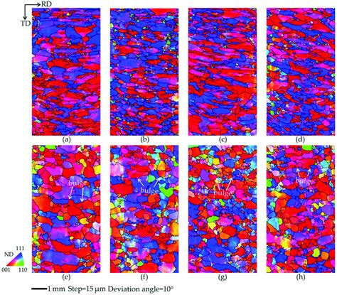 Microstructure Under Two Deformation Conditions 900 • C With 5 S −1 Download Scientific