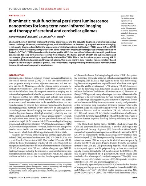 Pdf Biomimetic Multifunctional Persistent Luminescence Nanoprobes For
