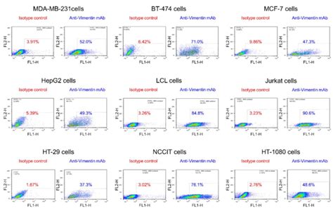 Flow Cytometry Results Of Cell Surface Vimentin Csv Detection In Download Scientific Diagram