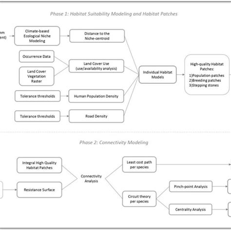 Identifying Priority Areas For Landscape Connectivity For Three Large