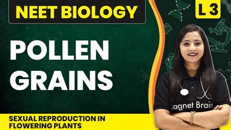 Pollen Grains In Detail Sexual Reproduction In Flowering Plants L