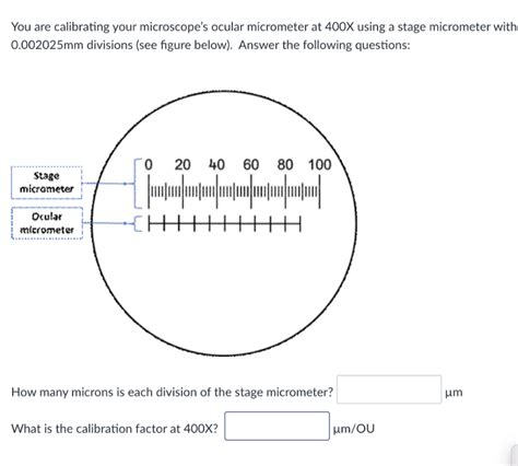 Solved You Are Calibrating Your Microscopes Ocular