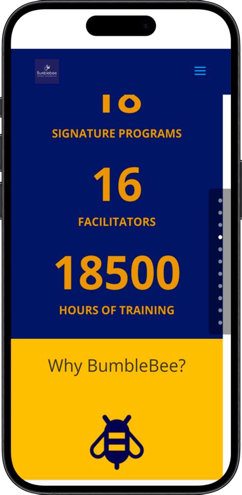 Bumblebee Amrithaa Portfolio