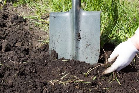Soil Texture Digging Deeper Into The Soil In Your Garden