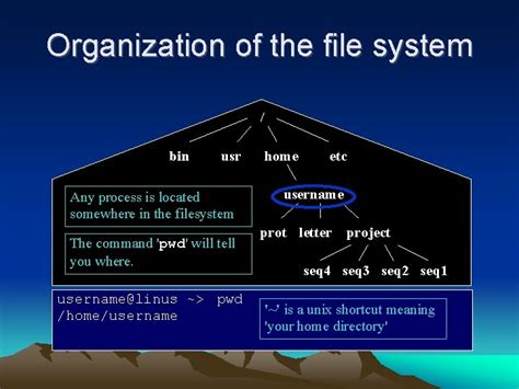 Basic Linuxunix Commands The Symbol Of Linux Logging