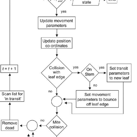 a flow diagram representing our simulation model of predator and prey