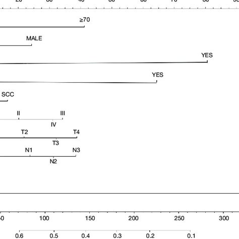 Calibration Curve Showing Nomogram Predicted Overall Survival Compared Download Scientific