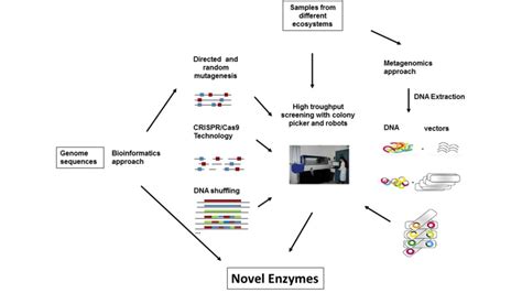 Enzyme Discovery